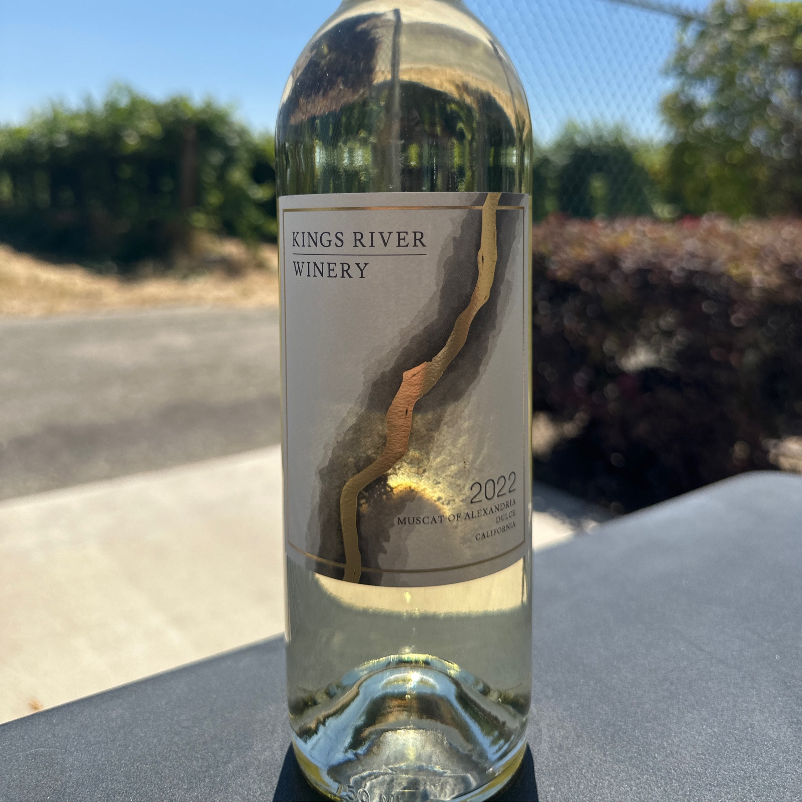 2022 Muscat of Alexandria | Kings River Winery Wine Shop